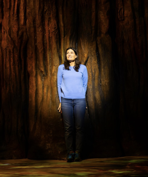 Redwood: World Premiere Musical at La Jolla Playhouse - Entertainment Today